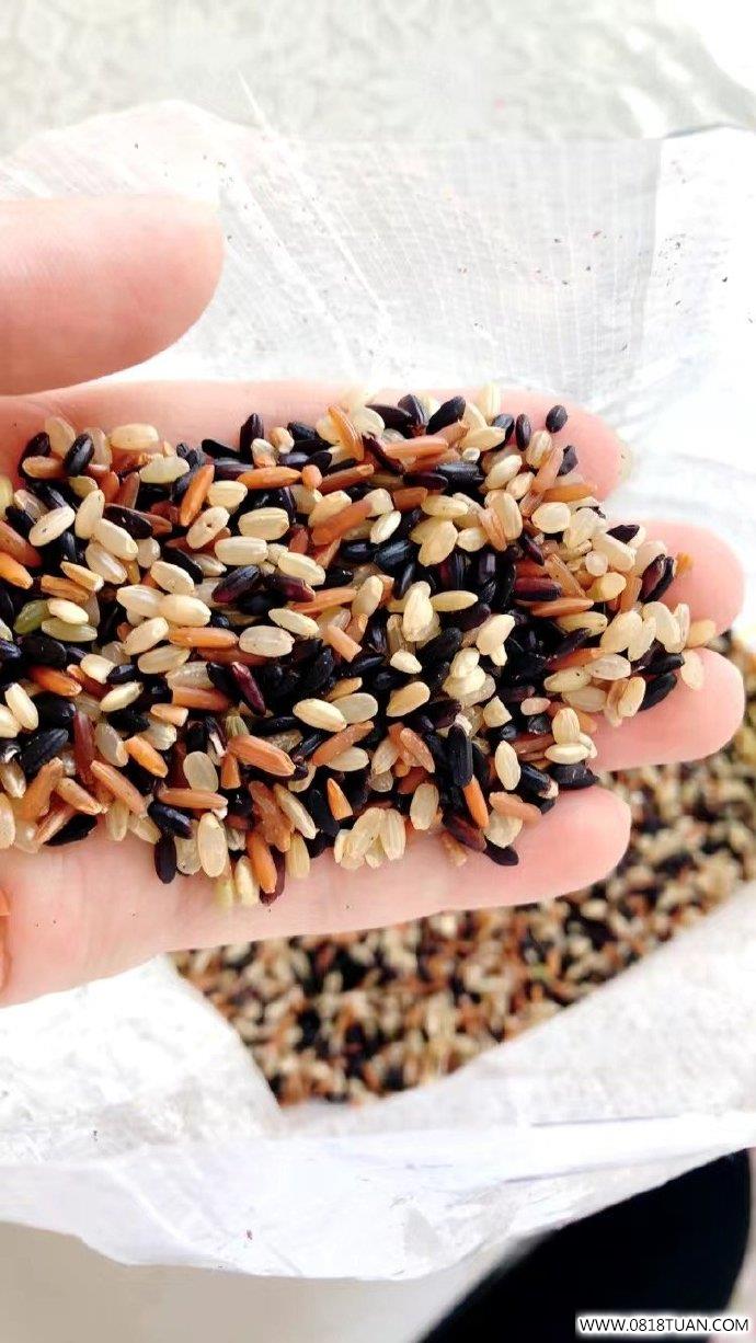 11.2，低脂低糖三色糙米500g-最新线报活动/教程攻略-0818团