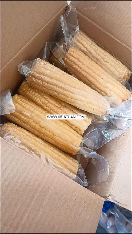 18.9，长白山白糯玉米220g*8根-最新线报活动/教程攻略-0818团